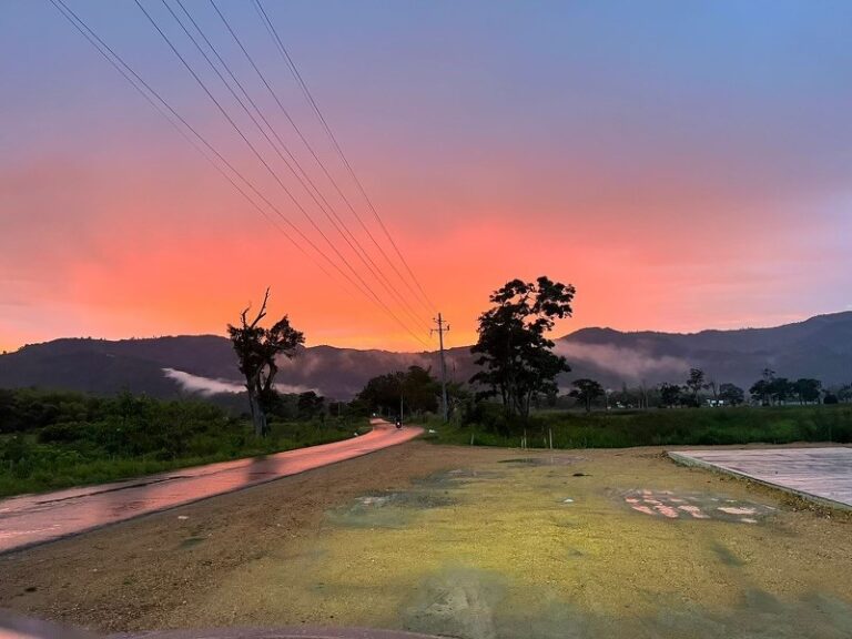 Single Origin Spotlight: The Colombian Growers Behind Santa Ana - Sum ...